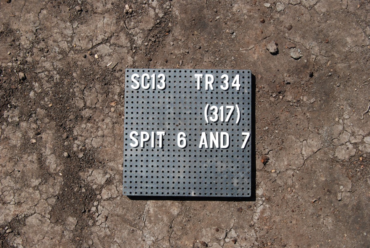 Star Carr – Early Mesolithic – Mike Bamforth