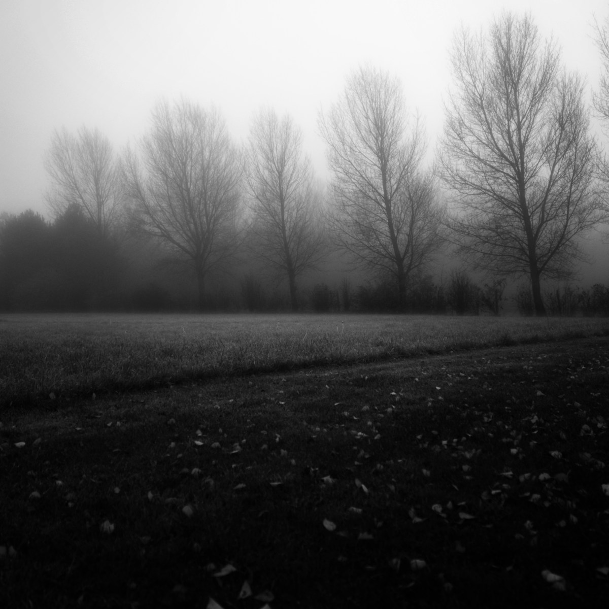 London’s Oldest Structure? – Mike Bamforth