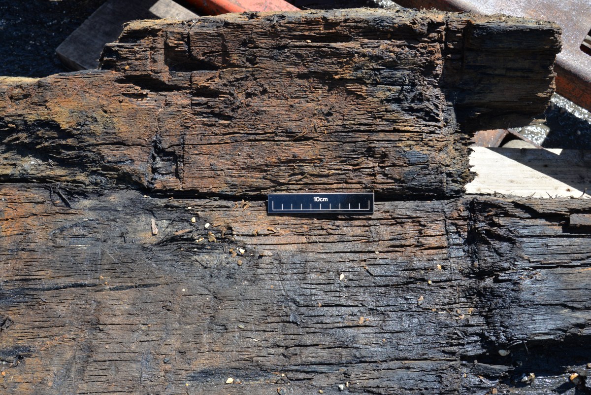 Tetney Bronze Age Log Coffin – Mike Bamforth